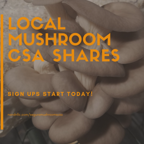 Segura & Sons Mushroom Farm